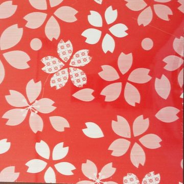 China Customized PPGI Pre-painted Printech Steel Coil, Home Appliances ...