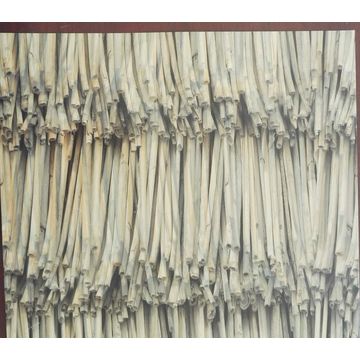 China Customized PPGI Pre-painted Printech Steel Coil, Home Appliances ...