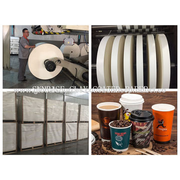 China Paper Cup Paper Single Side PE Coated Clay Coated Paper on Global ...