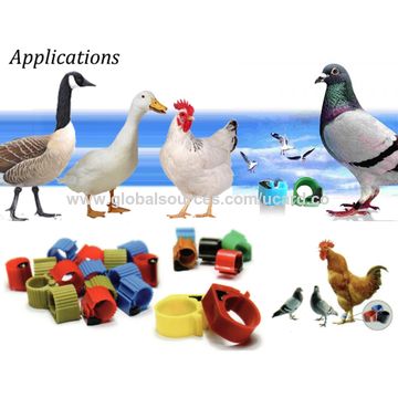 ChinaLF/HF/UHF RFID pigeon foot ring tag for birds on Global Sources