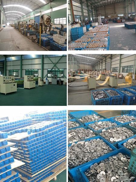 High Quality Diesel Fuel filter P11039 / WK5001 / WK5002X use for BMW ...