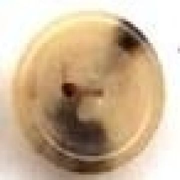 Buy Wholesale India Cow Horn Button & Cow Horn Button | Global Sources