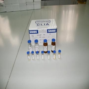 Maglumi Reagent (CLIA kits for IVD), immunoassay reagent and kits ...