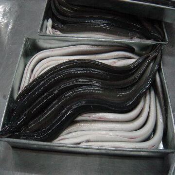 Frozen European/japanese Eel Fish - Buy China Wholesale Frozen European ...