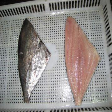 Buy Wholesale China Frozen Brama Brama Fillet & Frozen Brama Brama ...