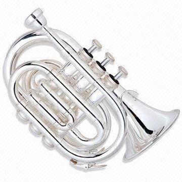 Buy Wholesale China Brass Trumpet With Golden Lacquer/silver Plating ...