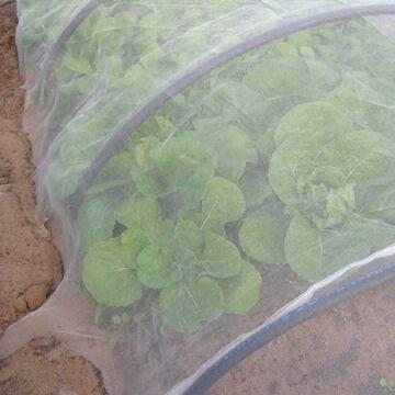 Buy Wholesale China Agricultural Insect Netting, Made Of 5000s High ...