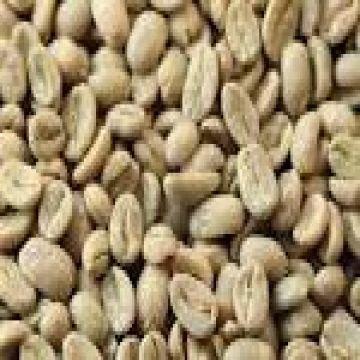 Buy Wholesale United Kingdom Unroasted Arabica And Robusta Coffee Beans ...