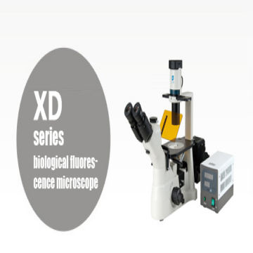 Xd Laboratory Inverted Fluorescence Microscope, Designed For Cell Culture Observation, To Get ...