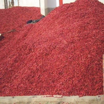 Bulk Buy China Wholesale Red Chilli Hot Red Pepper from Xuzhou ...