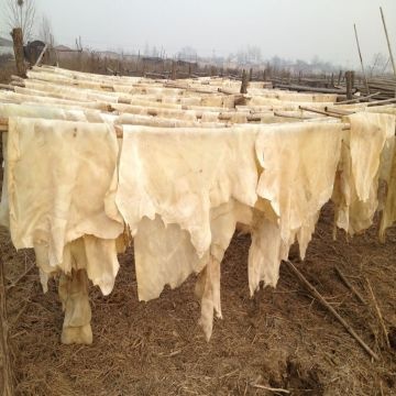 Buy Standard Quality China Wholesale Dry Cow Hide Lime Splits For ...