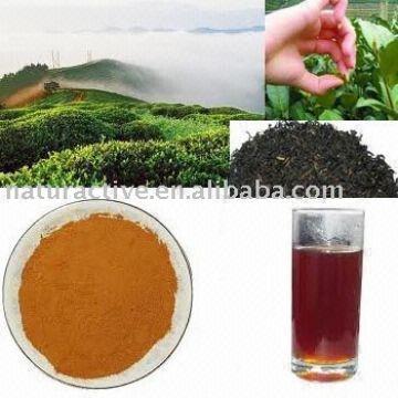 Bulk Buy China Wholesale Instant Black Tea Powder For Beverages And ...