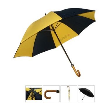 Buy Wholesale China 30inch Double Metal Ribs Promotion Golf Umbrellas ...