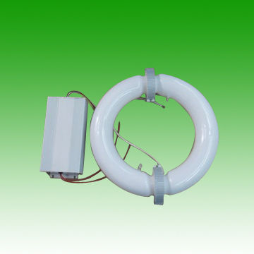 Buy Wholesale China Induction Lamp Source With 5 Years Warranty More ...
