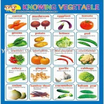 3d Wall Chart-learning Vegetable - Buy China Wholesale 3d Wall Chart ...