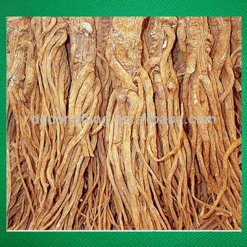 Dried Angelica Root for Traditional Chinese Medicine | Global Sources