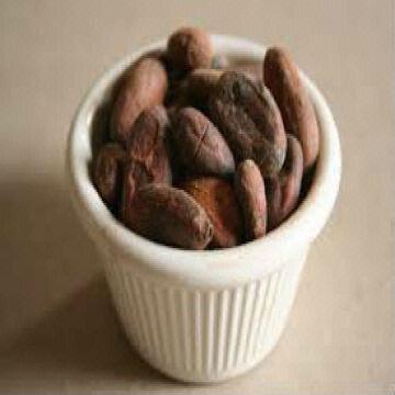 Buy Wholesale United States Criollo Or Forastero Cacao Beans & Criollo ...