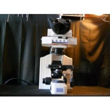Nikon Eclipse E600 Microscope with Y-FL EPI Fluorescence Attachment ...