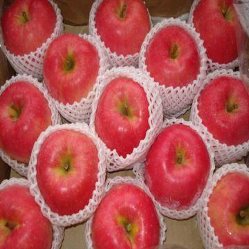 Buy Wholesale China Japanese Apple & Japanese Apple | Global Sources