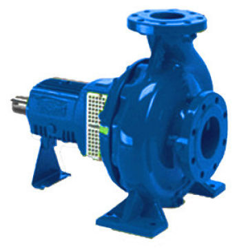 Horizontal end suction pump series | Global Sources