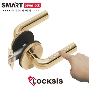 LOCKSIS DIY Electronic Smart Lever Lock Deadbolt Keyless Entry Digital ...