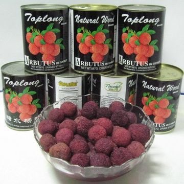 China Canned Arbutus on Global Sources,Canned fruits,Arbutus