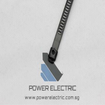 Buy Wholesale Singapore Epoxy Coated Single Ladder Lock Stainless Steel ...