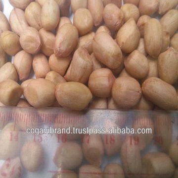 Buy Wholesale Vietnam Vietnam Peanuts, Peanut Kernel & Vietnam Peanuts ...