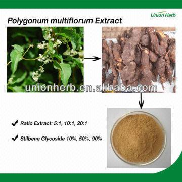 Buy Wholesale China 100% Pure Natural Polygonum Multiflorum Root ...
