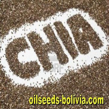 Buy Wholesale Bolivia Natural Chia Seeds & Natural Chia Seeds | Global ...
