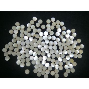 Buy Wholesale Indonesia Trochus Shell Button Blank & Trochus Shell ...