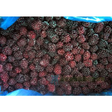 Buy Wholesale China Frozen Blackberry Frozen Fruit Iqf Blackberry ...