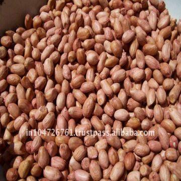 Buy Wholesale India Hps Groundnut Kernels (peanuts) origin: Saurashtra ...