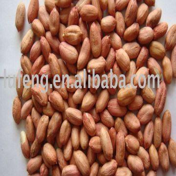 Buy Wholesale China New Crop Chinese Raw Peanut For Sale 1.crop:new 2 ...