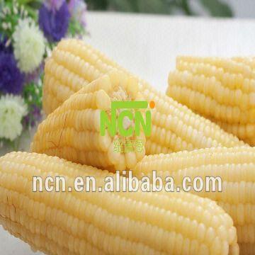 Buy Wholesale China Frozen Corn White And Yellow Maize 1.glutinous:yes ...