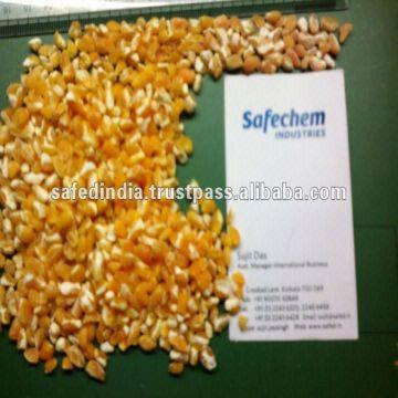 Buy Wholesale India Maize Grit & Maize Grit | Global Sources