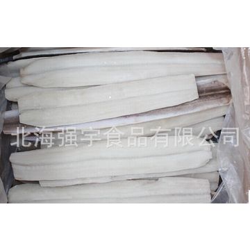 Iqf Conger Eel Fillet Aquatic Product Frozen Fish Seafood Seafish ...