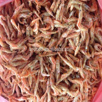 Buy Wholesale China Frozen Dried Baby Flower Shrimp & Frozen Dried Baby ...