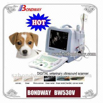 Buy Wholesale China Digital Veterinary Ultrasound Imaging Device Bw530v ...
