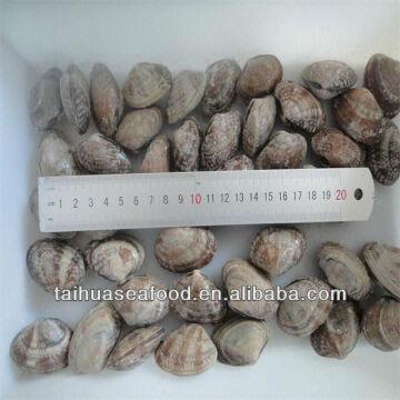 Buy Wholesale China Vacuum Packed Seafood And Frozen Clam With Shell ...