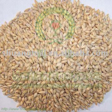 Buy Wholesale China 2-row Barley Malt For Beer Brewing & 2-row Barley ...