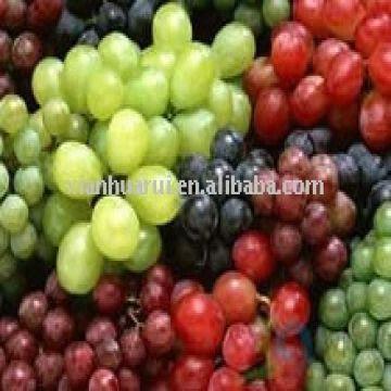 Buy Wholesale China Grape Seed Extract /cas No: 84929-27-1/vitis ...