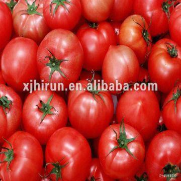 Buy Wholesale China Tomato Paste & Tomato Paste | Global Sources