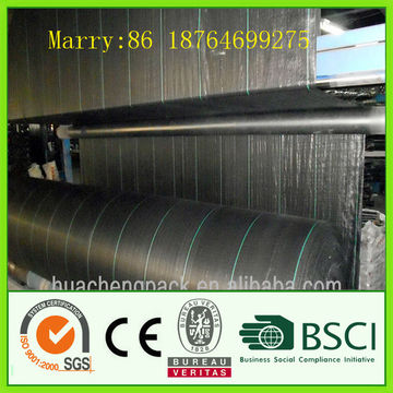 Buy Wholesale China Black Pp Woven Geotextile/silt Fence/weed Mat ...