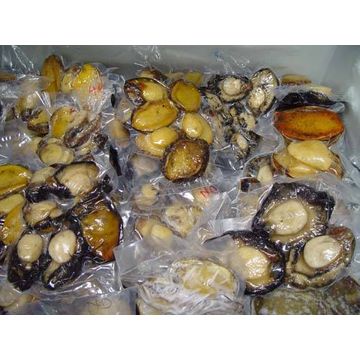 Buy Wholesale Indonesia Frozen Abalone & Frozen Abalone at USD 23 ...