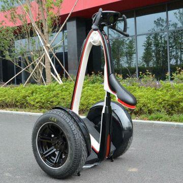 Freeyoyo Two Wheel Self-balancing Electric Chariot - Buy China ...