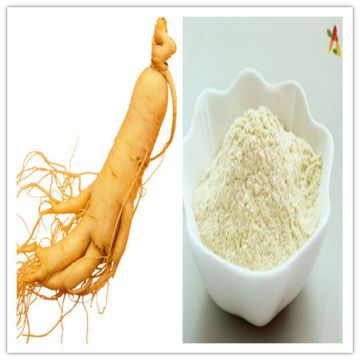 Buy Wholesale China Natural Enhance Memory Ginseng Extract Panax ...