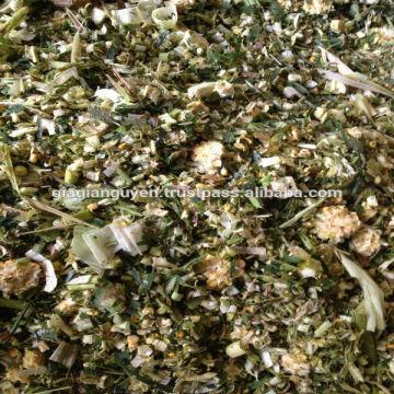Buy Wholesale Vietnam Cheap Corn Silage For Feed From Vietnam - Gia Gia ...