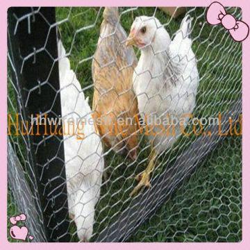 Poultry Wire 1/2 Hex Mesh Chicken Wire-manufacturer&exporter-over 20 ...