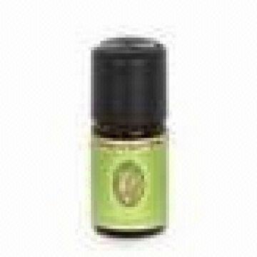 Buy Wholesale India Cinnamon Bark Absolute & Cinnamon Bark Absolute ...